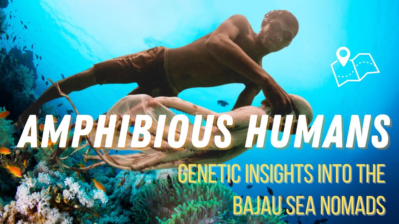 The Amphibious Humans: Genetic Insights into the Bajau Sea Nomads - YouTube