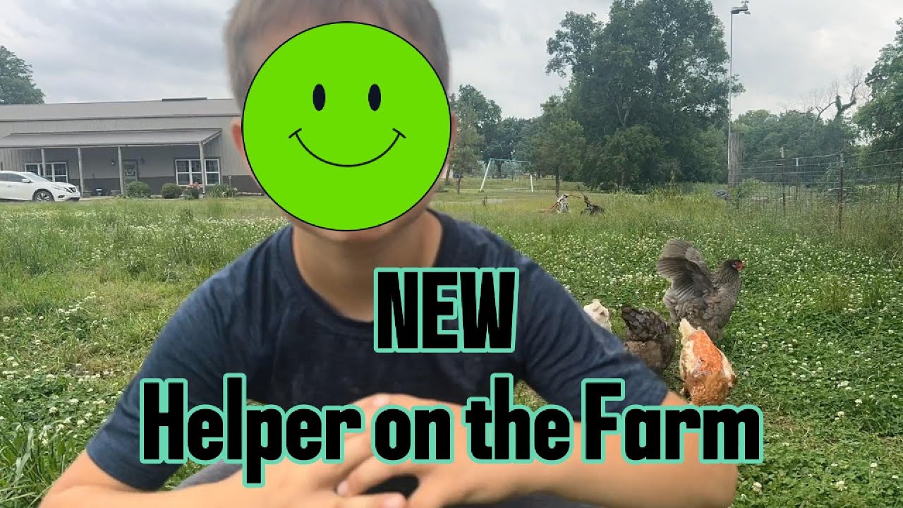 We have a new helper on the farm. - YouTube