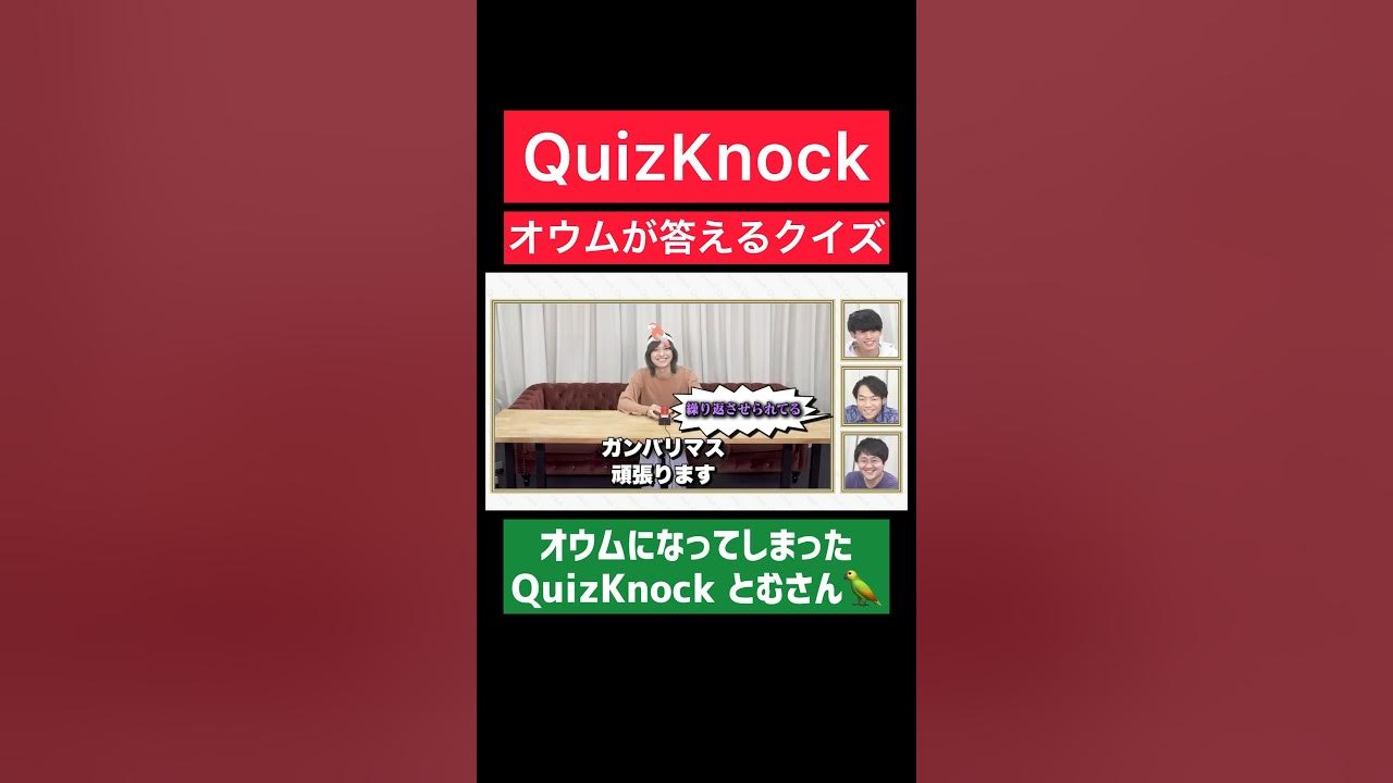 【QuizKnock】オウムになってしまったとむさん #quizknock #切り抜き - YouTube