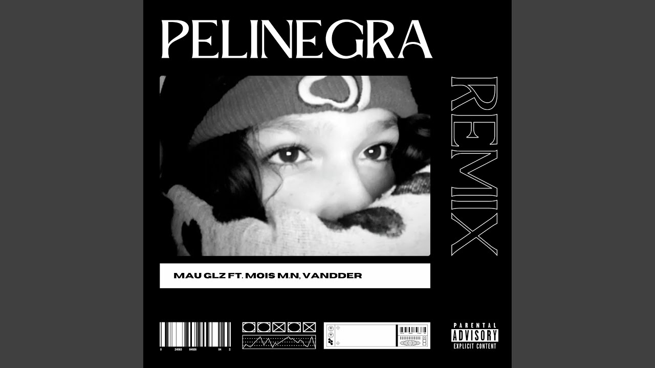 Pelinegra (Remix) - YouTube