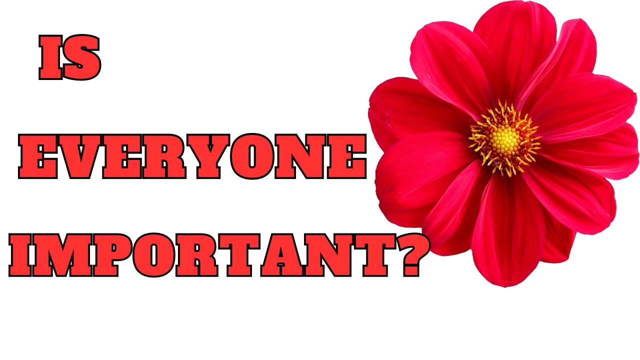 Everyone's Important - Dasia | Street Epistemology - YouTube