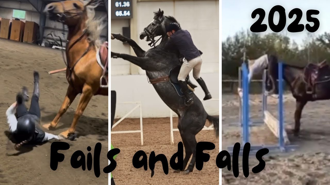 Horse Fails and Falls | Best of 2025 | Bridled Bloopers - YouTube