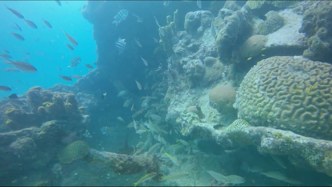 Barbados Scuba Diving Highlights 2016 - YouTube