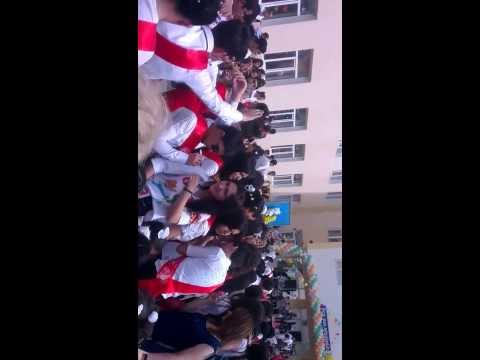 239 son zeng 2013