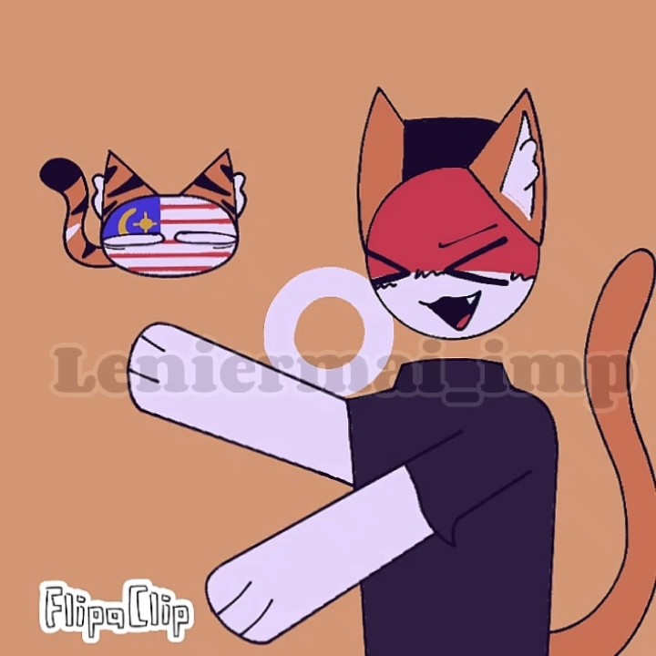 Cat🗿#countryballs #countryhumansedit #countryhumans #animation - YouTube