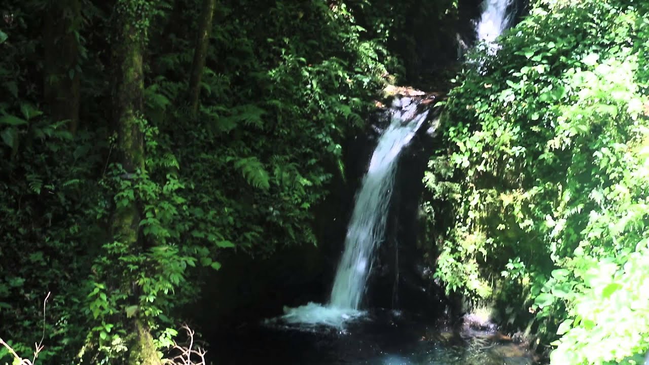 Waterfall at Monteverde Cloud Forest Reserve, Costa Rica - YouTube