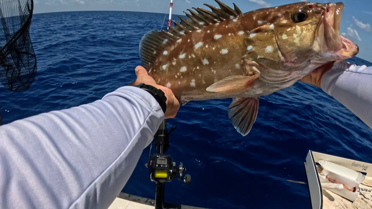 Fishing with South Florida Fishing Channel 4K - YouTube