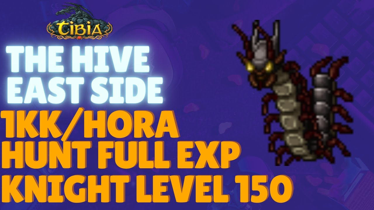 [TIBIA] - EK HUNT SOLO THE HIVE LADO DIREITO | 1,3KK/H DE EXP HUNT FULL ...
