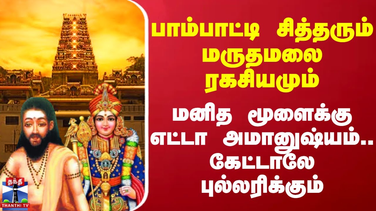 Pambatti Siddhar Marudhamalai kumbabishekam | பாம்பாட்டி சித்தரும் ...