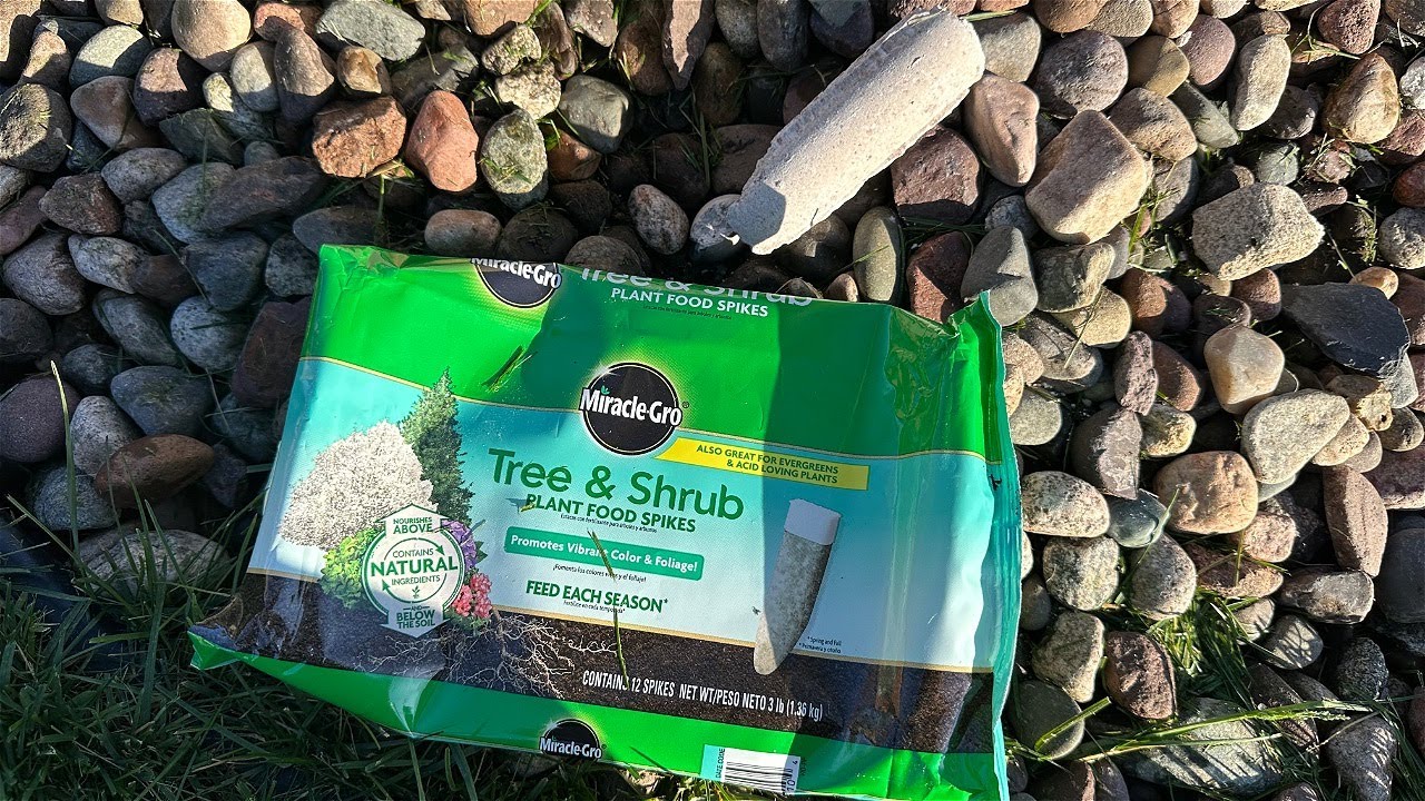 Miracle-Gro Tree and Shrub Plant Food Spikes Review - YouTube