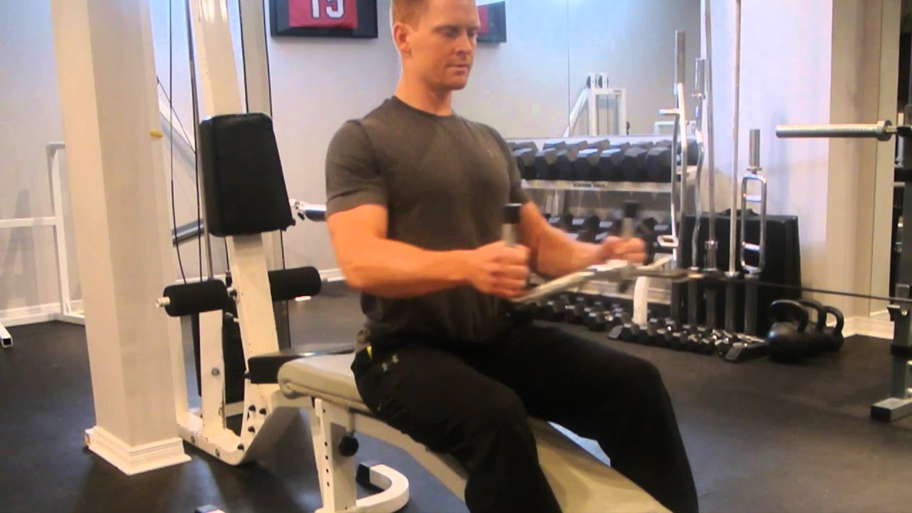 Seated Row - Mid-Pulley Neutral Grip (Resistance Training, Rowing ...