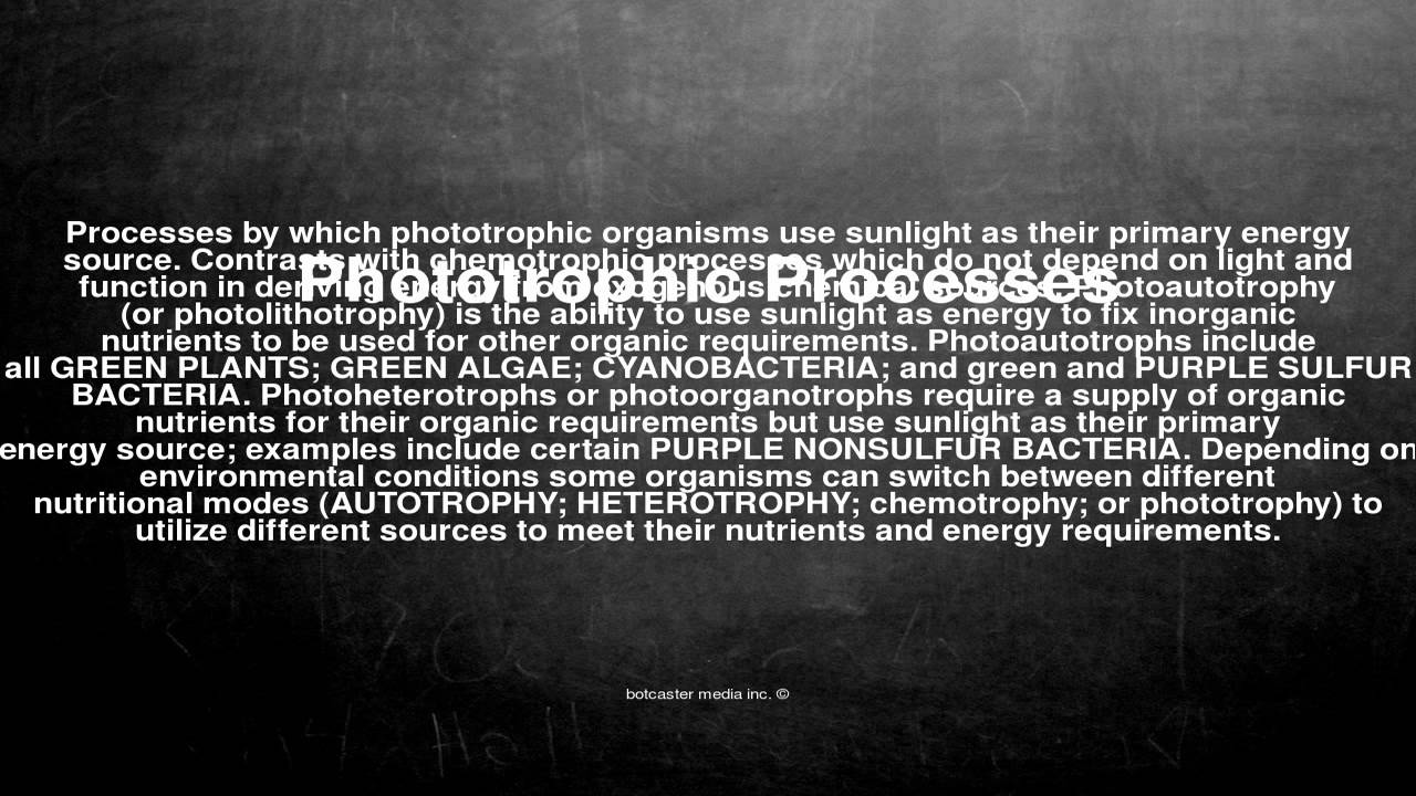 Medical Vocabulary What Does Phototrophic Processes Mean YouTube medical-vocabulary-what-does-phototrophic-processes-mean-youtube