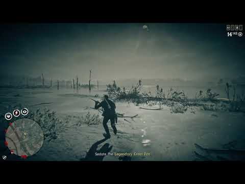 RDO : Legendary Cross Fox (Harriet Mission) - YouTube