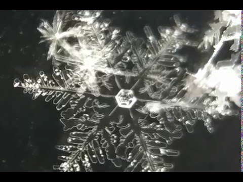 How to Take Amazing Snowflake Photos on Your Phone's Camera - YouTube