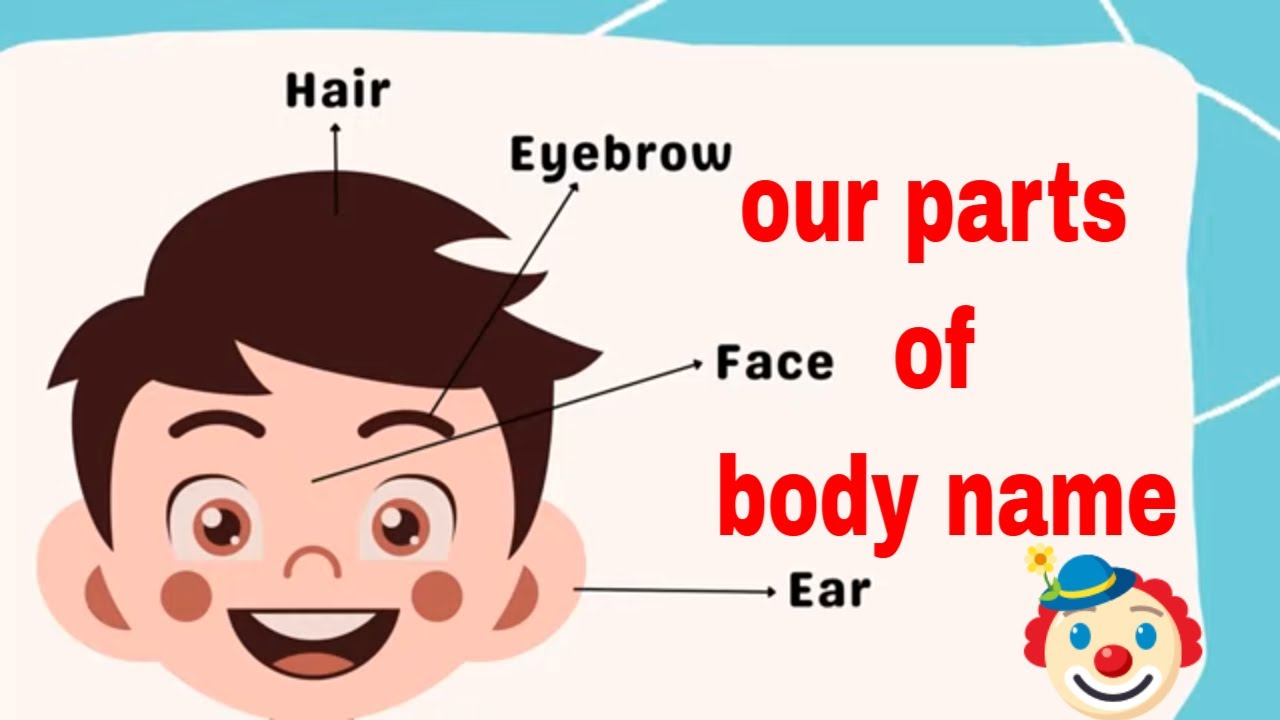 What's That Body Part Called? Discover Its Name Here! #ipskidslearning ...