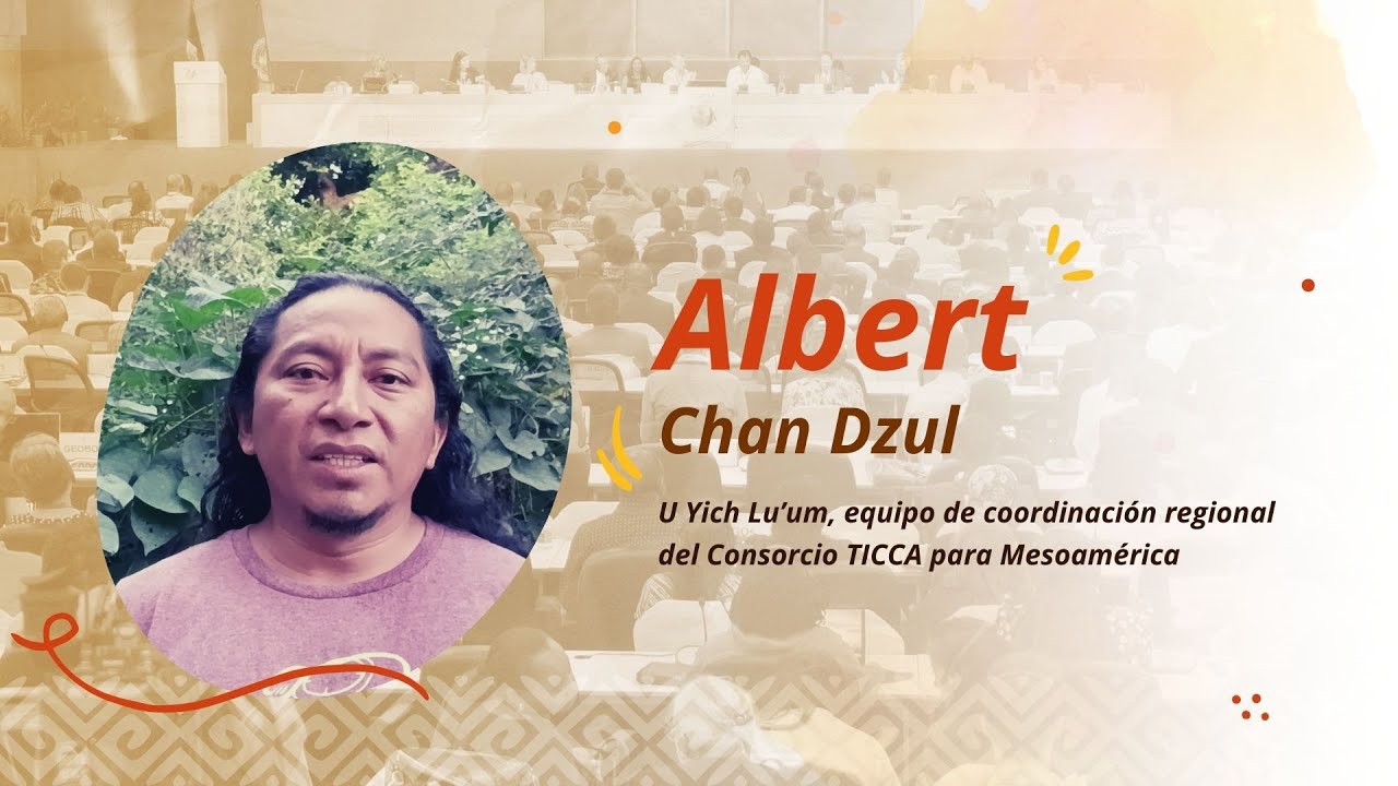 Albert Chan Dzul — Coordinador para Mesoamérica del Consorcio TICCA ...