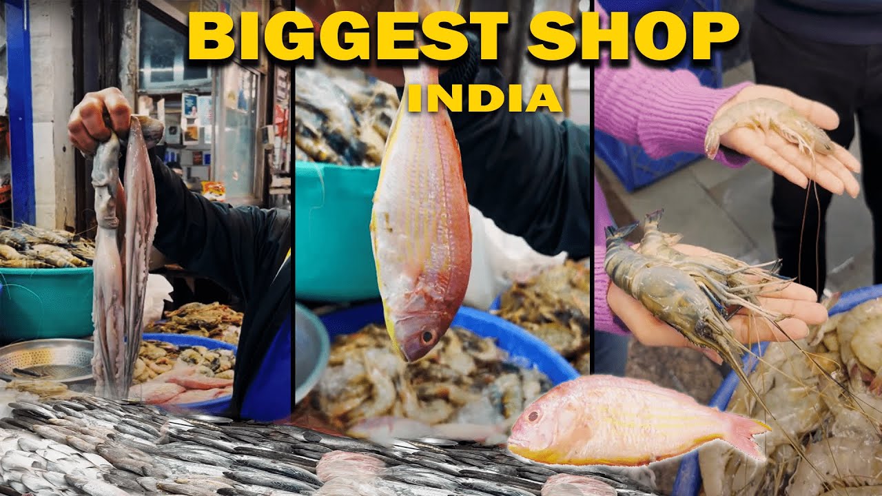 Huge Varieties Of Biggest Fishes & Sea Food Shop In INA Market Delhi ...