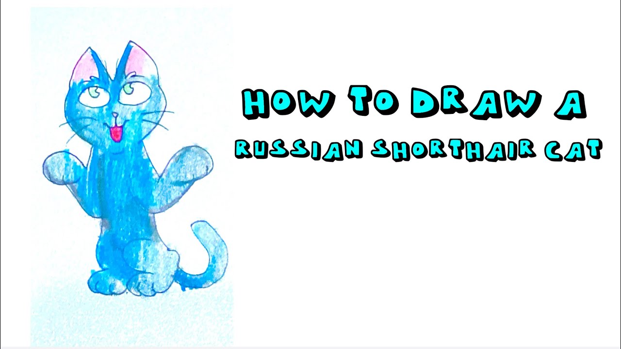 How to Draw Cat Breeds 6: Russian Shorthair cat - YouTube