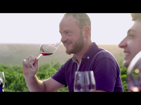 SAVALAN wine factory
