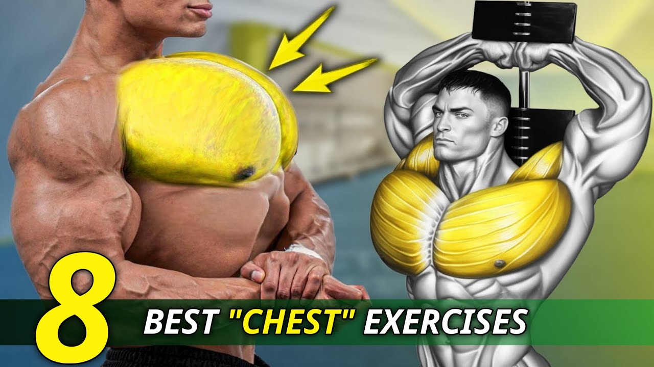 Top 8 Best Upper Chest Workout Routine - Chest Day - YouTube