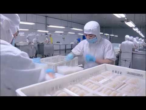Manufacture processing of Konjac Noodles-NatureFlo Ingredients - YouTube