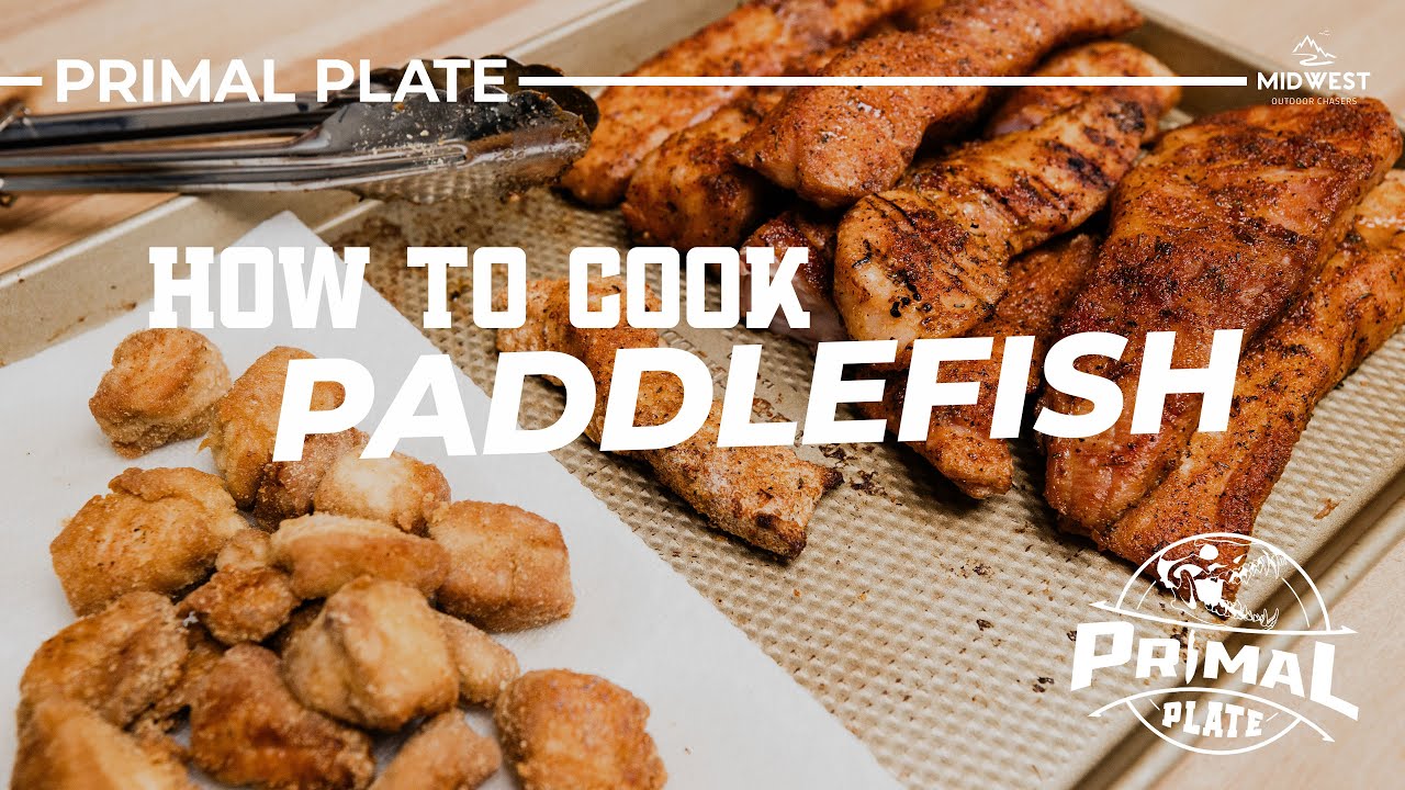 How to Cook Paddlefish (3 Ways) | S1E07 | Primal Plate - YouTube