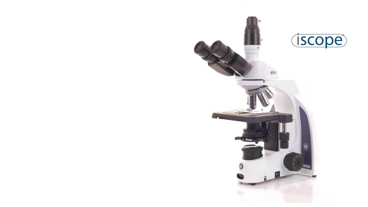 Euromex iScope trinocular microscope A masterpiece in microscopy # ...