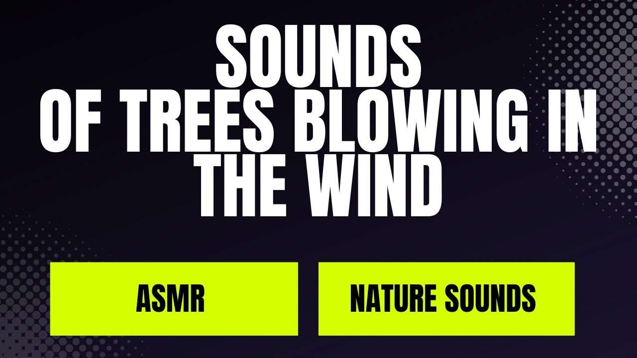 STRONG sounds of the TREES BlOWING in the WIND for deep sleep and ...