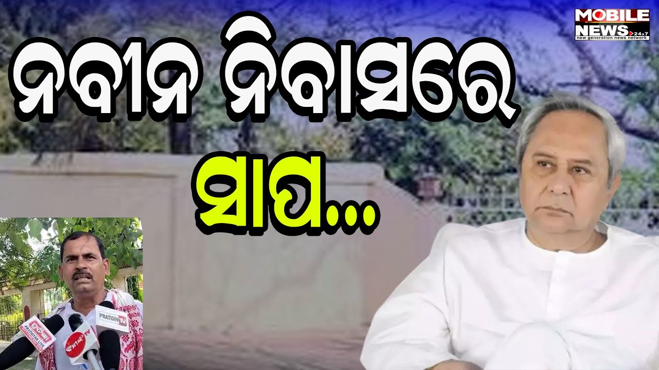 କୋଉ ସାପ ଲୁଚିଛି, କାହାକୁ ଜଗିଛି Odisha BJP ? କହିଲେ Seshadev Nanda, Mohan ...
