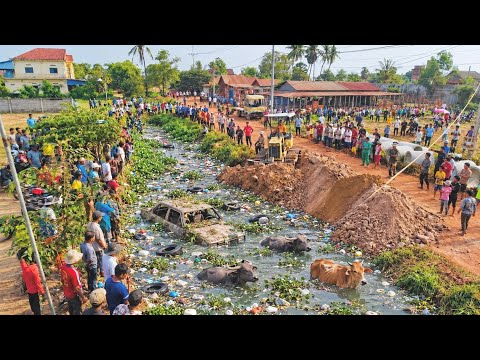+ Great! Perfect New Project !! Complete100% Delete Small POND By Bulldozer D60p & Dump Truck 30T