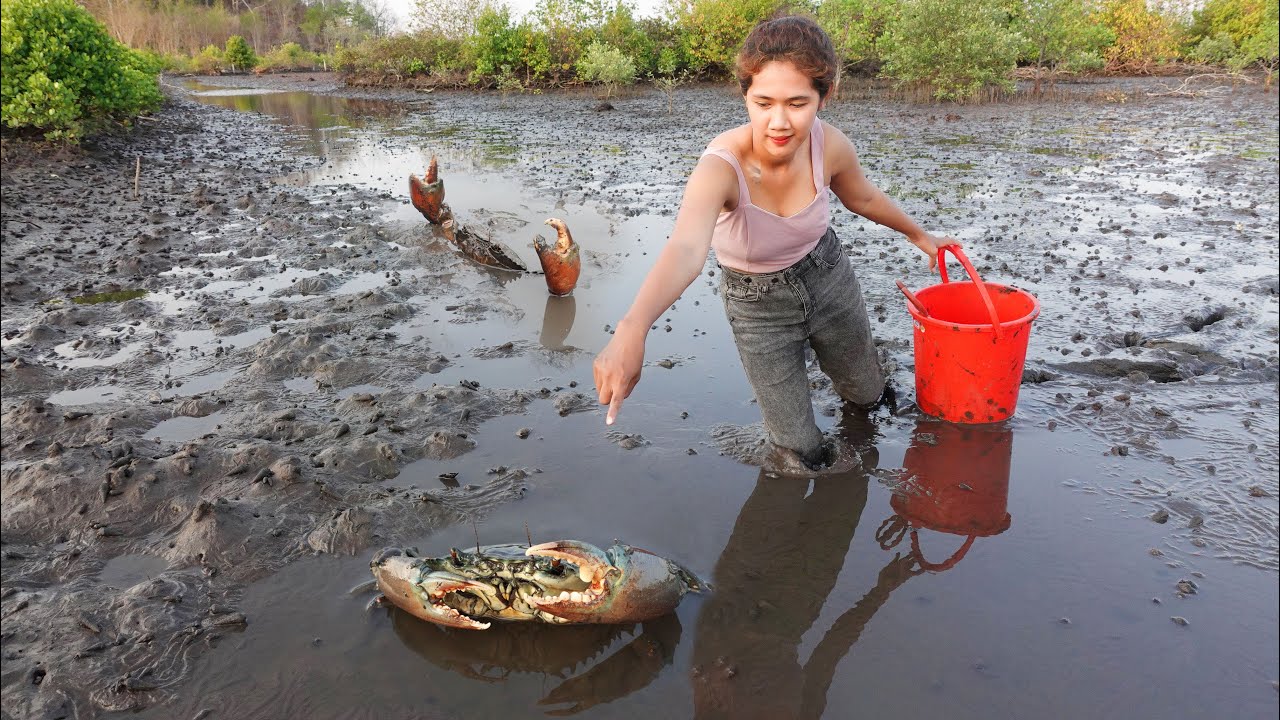 Unique Fishing - Catching A Lot Of Giant Mud Crabs In Swamp after Water ...