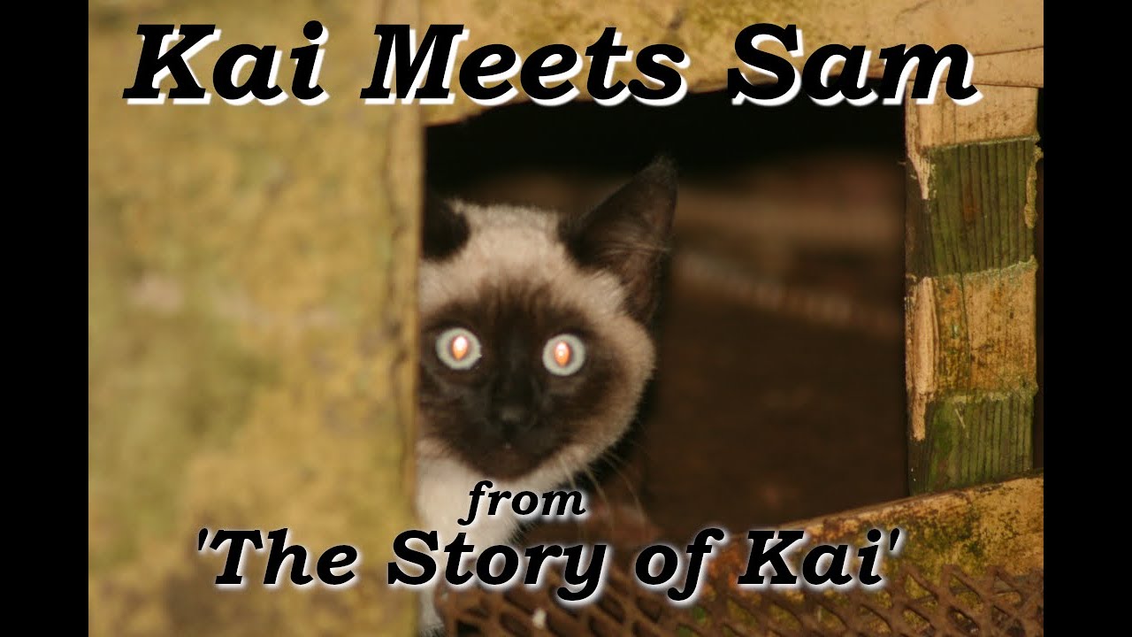 Kai Meets Sam - from 'The Story of Kai' - YouTube