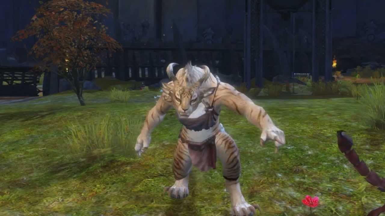 Guild Wars 2 - Female Charr Ranger Emotes - YouTube