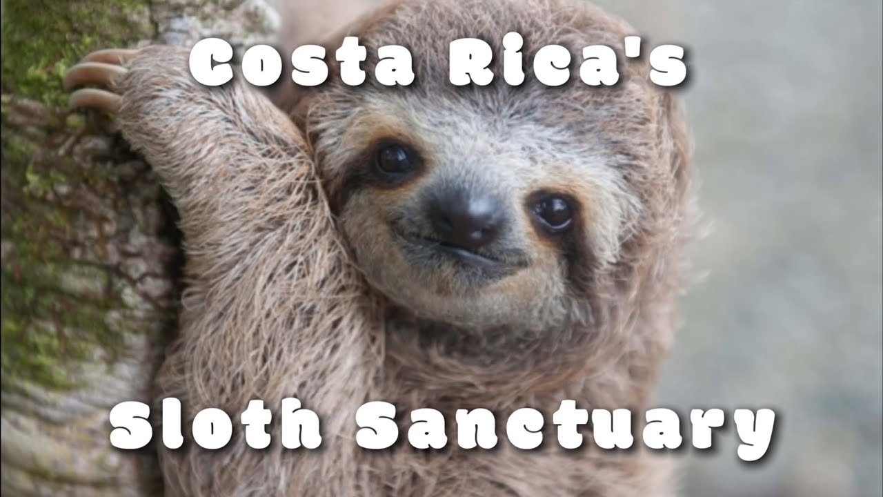 You Won't Believe What Happens Next! - S4E29 - YouTube