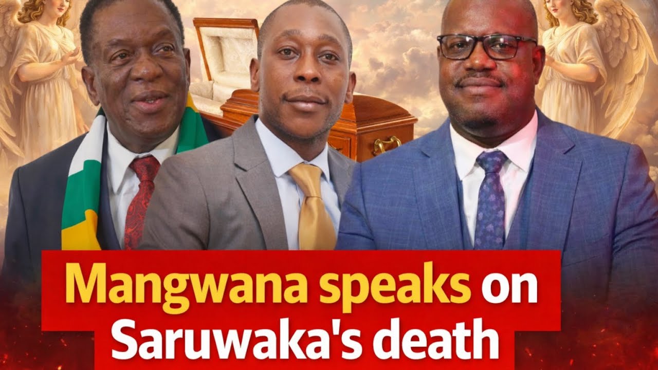 Nick Mangwana Distances ZANU PF Over Saruwaka Assassination - YouTube