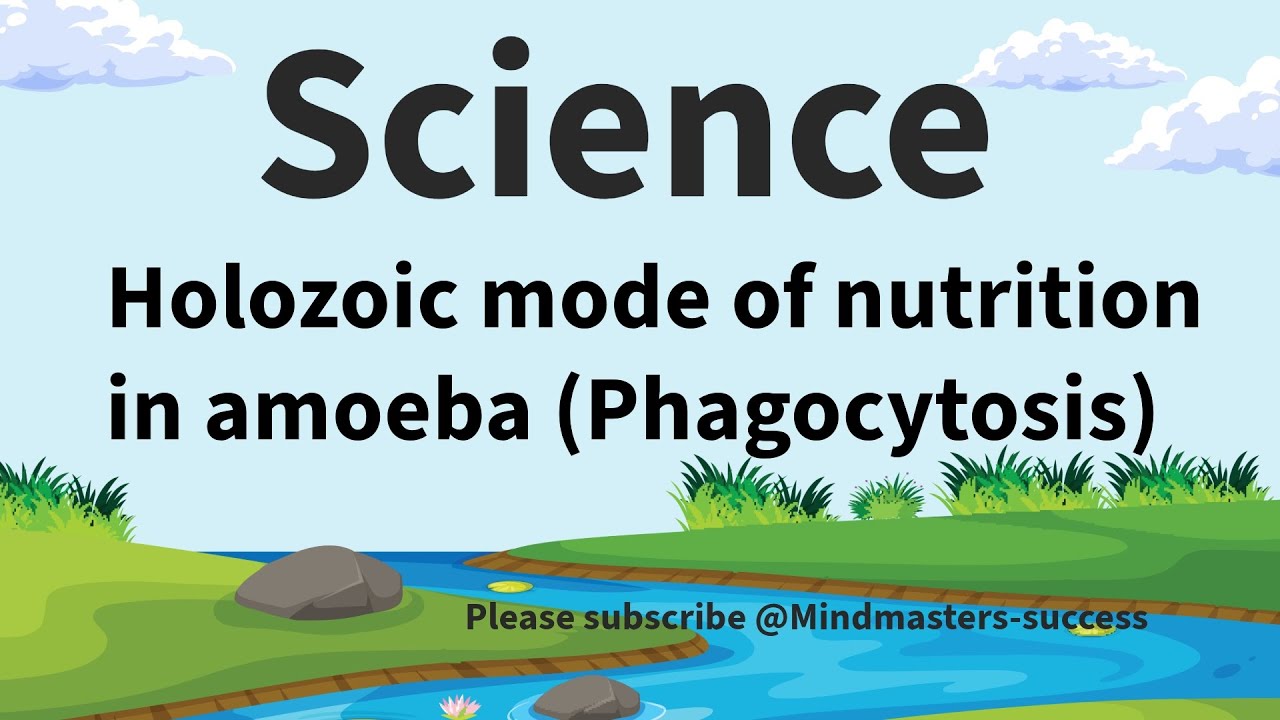 Holozoic Nutrition in Amoeba 🦠 |SCIENCE| #biology #facts #science # ...
