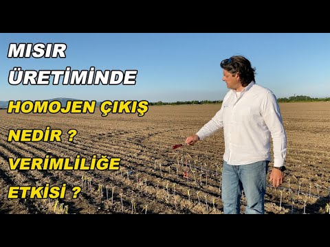 MISIR ÜRETİMİNDE YÜKSEK VERİMİN SIRRI 1.Bölüm Homojen çıkış (High yield corn. Even emergence)