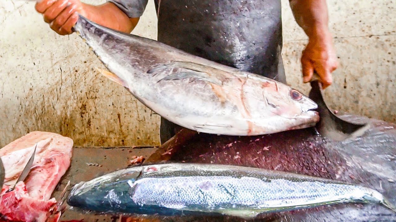 PROFESSIONAL FISH CUTTING ACTIVITY INDONESIA || SALMON & TUNA FISH ...