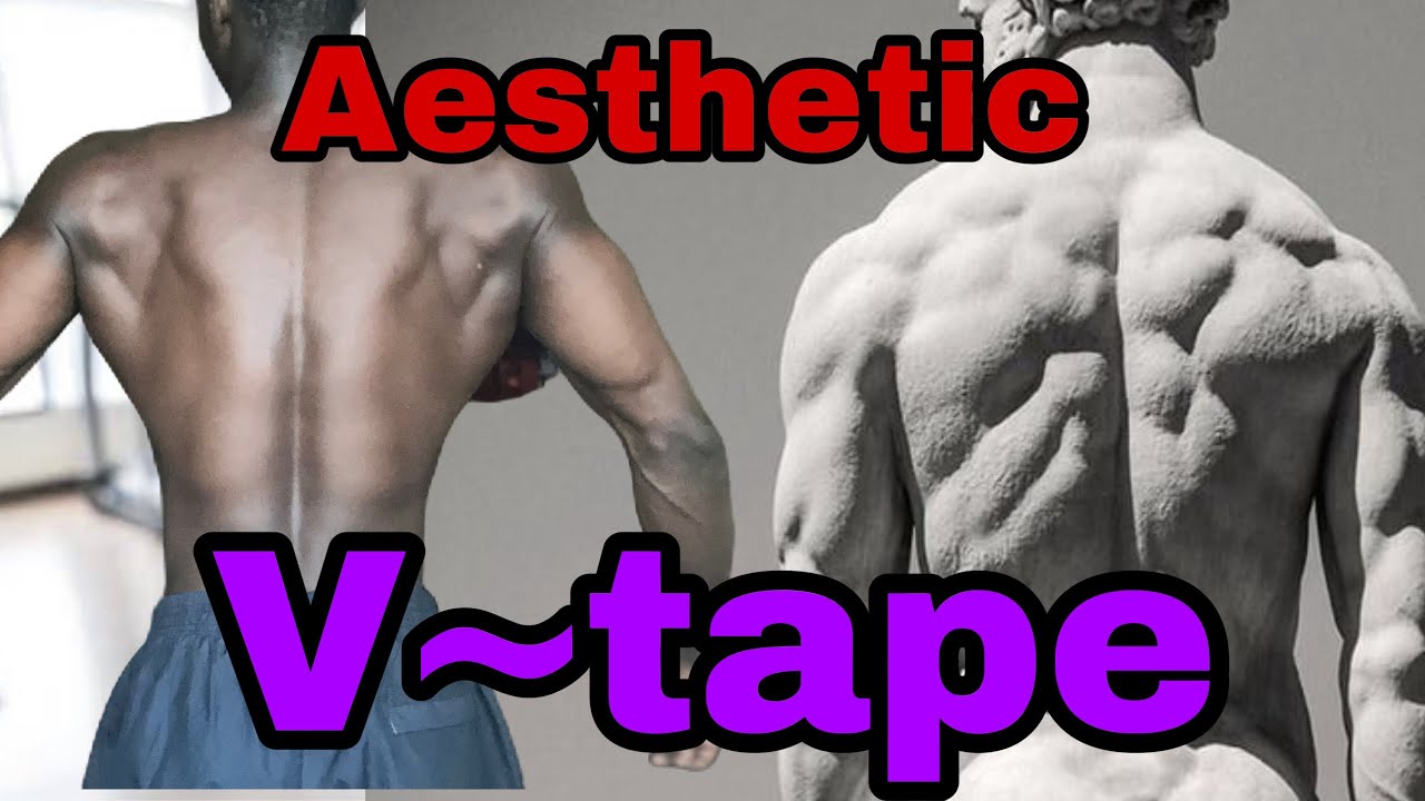 How To Build An Aesthetic V-Taper Body (simplified workouts) - YouTube