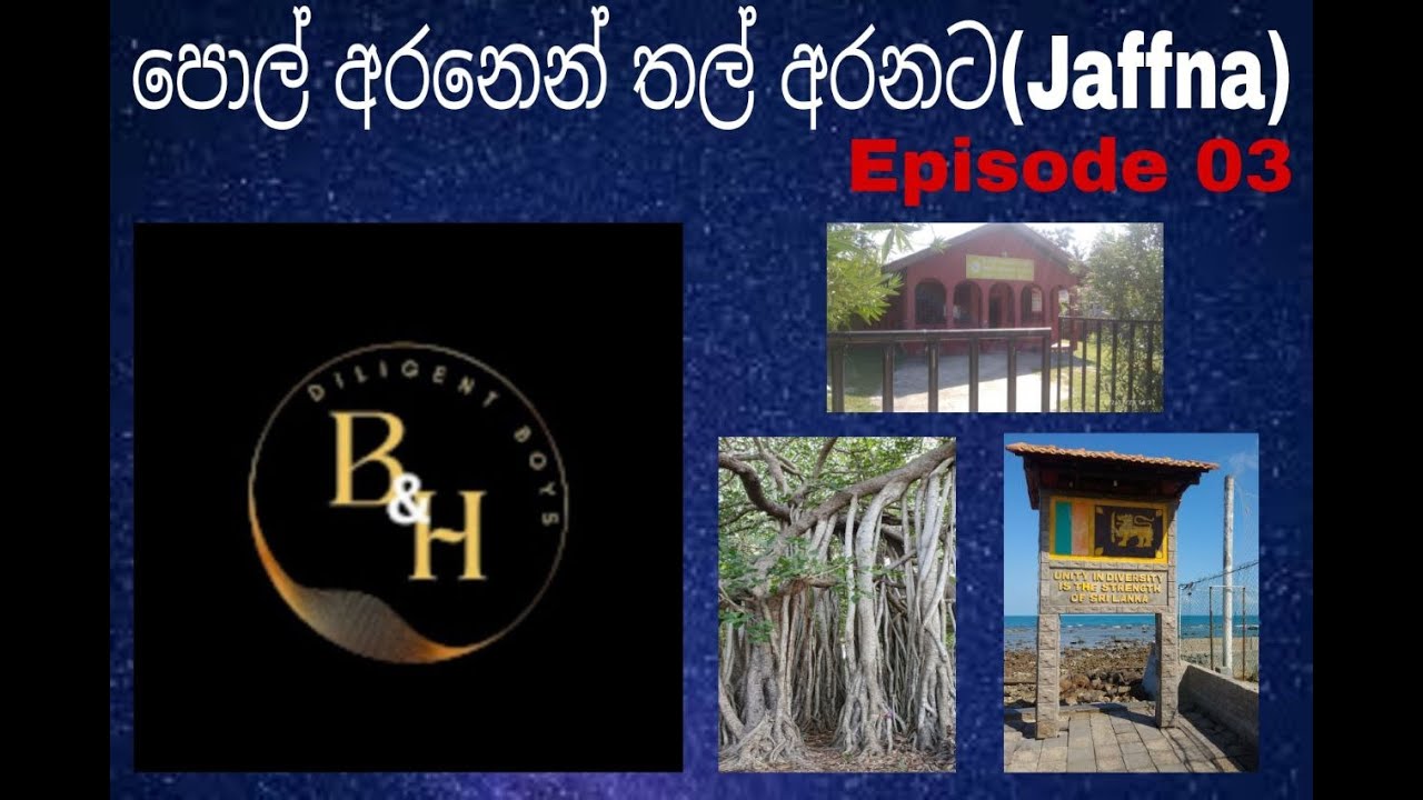 පොල් සෙවනෙන් තල් සෙවනට [ Galle to Jaffna ] / Travel Video Segment ...