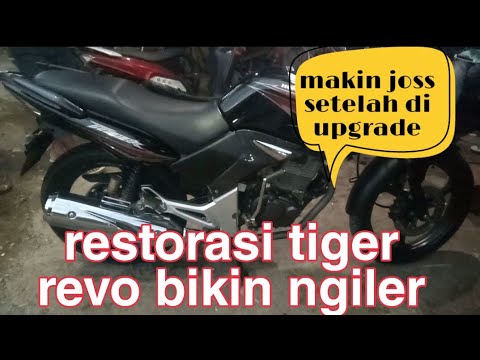 #tigerrevo #Restorasi #repaint restorasi tiger revo bikin ngiler - YouTube