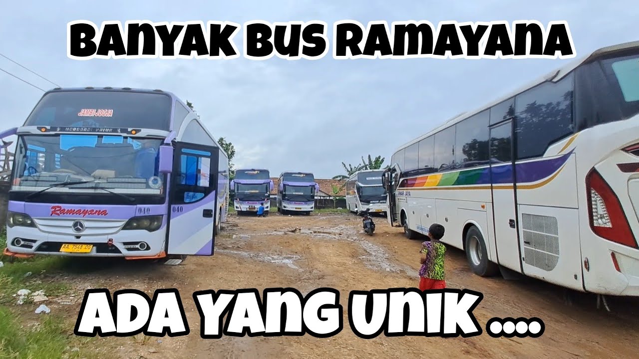 Banyak Yang Baru Di Pool Bus Ramayana... Ada Spesial Di Liputan Kali ...