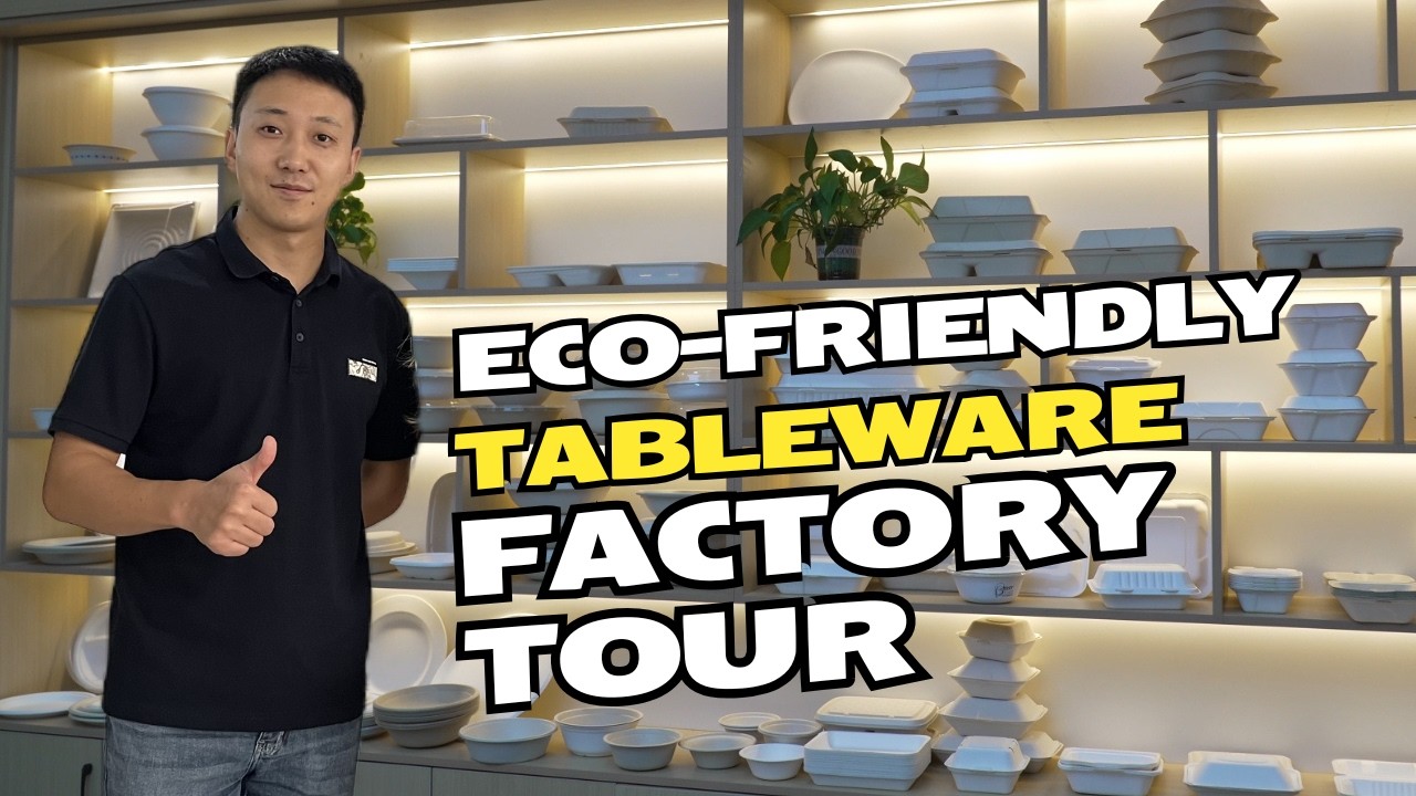 Touring A Sustainable Sugarcane Bagasse Tableware And Packaging Factory ...