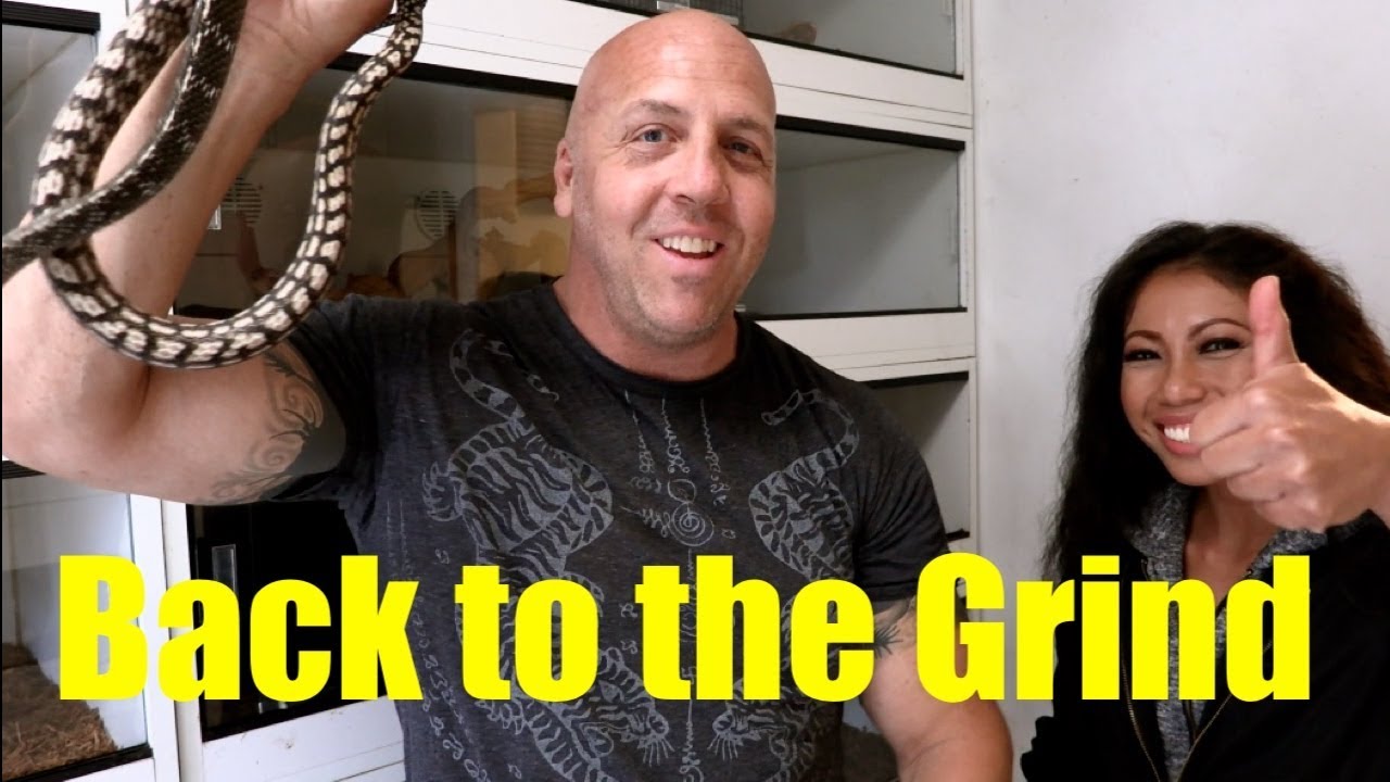 BACK TO THE GRIND - YouTube
