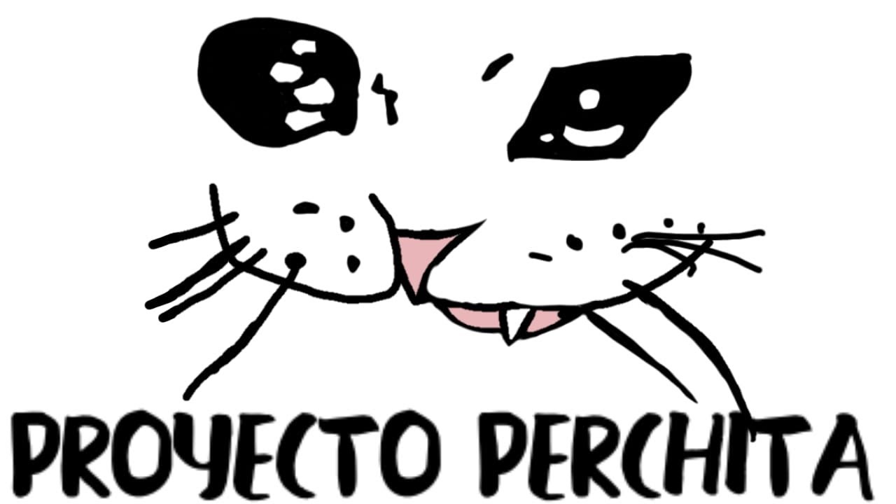 Proyecto Perchita 1-9 EPISODIOS - YouTube