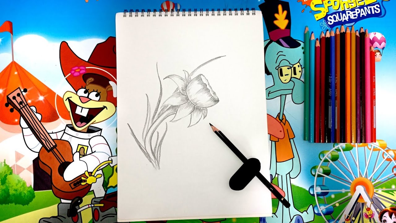 How to draw Anemone flower step by step | pencil drawing - YouTube