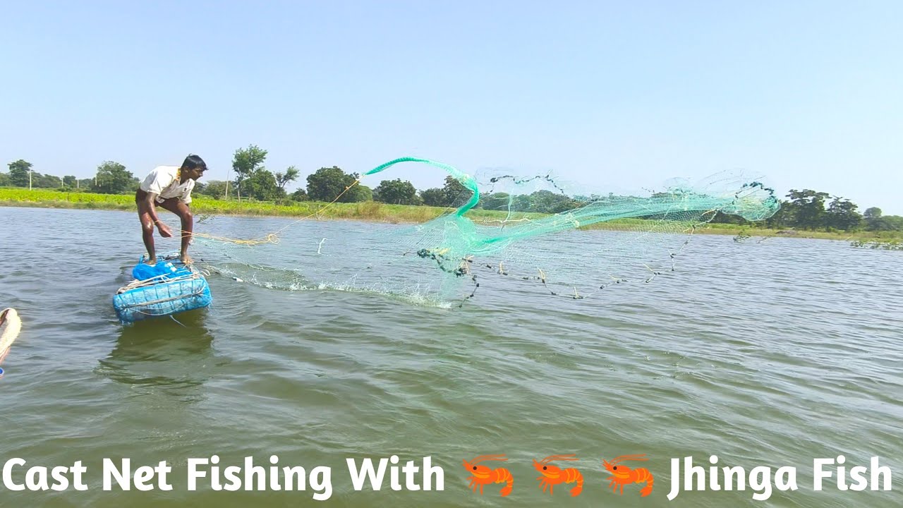 Cast net fishing videos with jhinga fish #फिशिंग - YouTube
