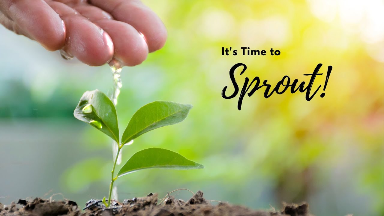 "It's Time to Sprout" Series: "Peace & Patience" - YouTube