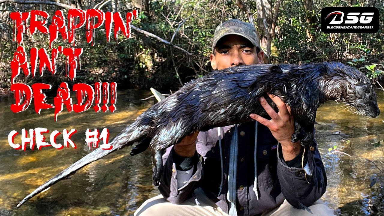 TRAPPIN' AIN'T DEAD - [CHECK #1] - River OTTER caught in DROWNING SET ...