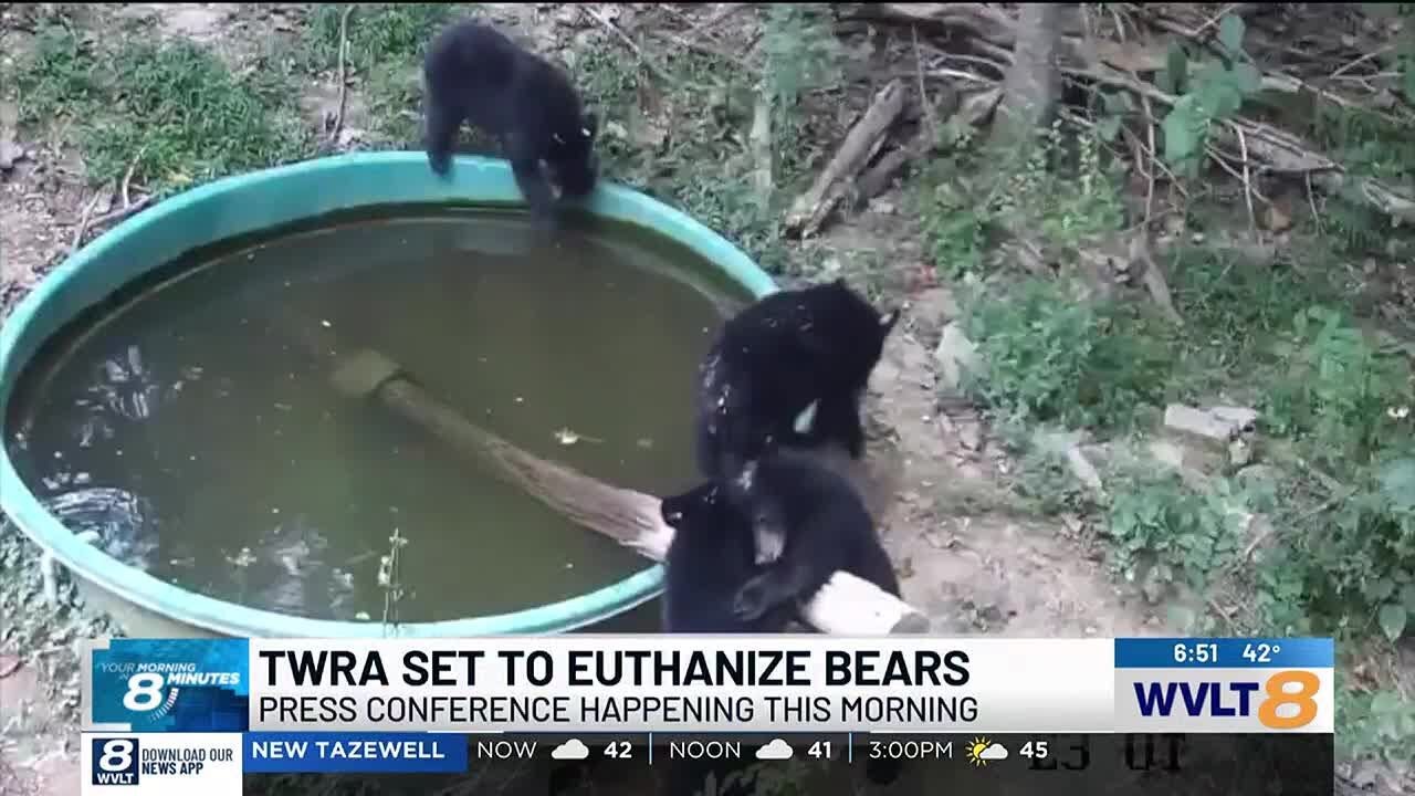 Catch Up Quick: Your headlines from 12/19 in 8 minutes or less - YouTube